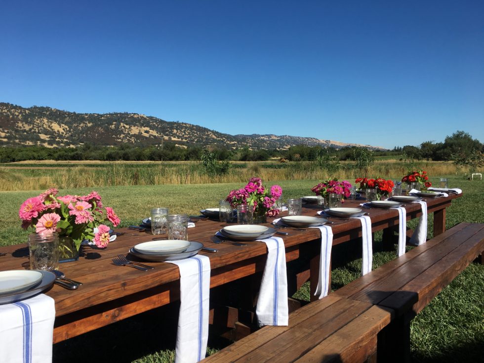 Full Belly Farm Dinner and eggplant – Hungry Hungry Hippie